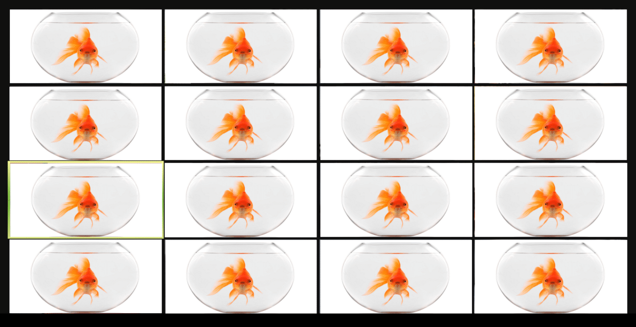LEADERSHIP… and the Virtual Fishbowl! - Shift Facilitation